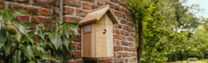 WiFi Bird Box Camera System