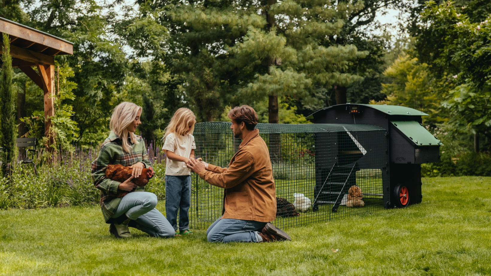 Find the Perfect Chicken Coop – Nestera Coops for Sale | Nestera