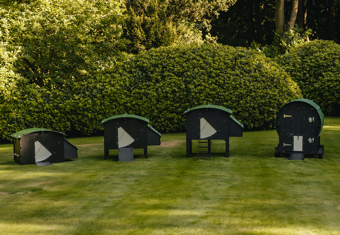 Find the Perfect Chicken Coop – Nestera Coops for Sale | Nestera